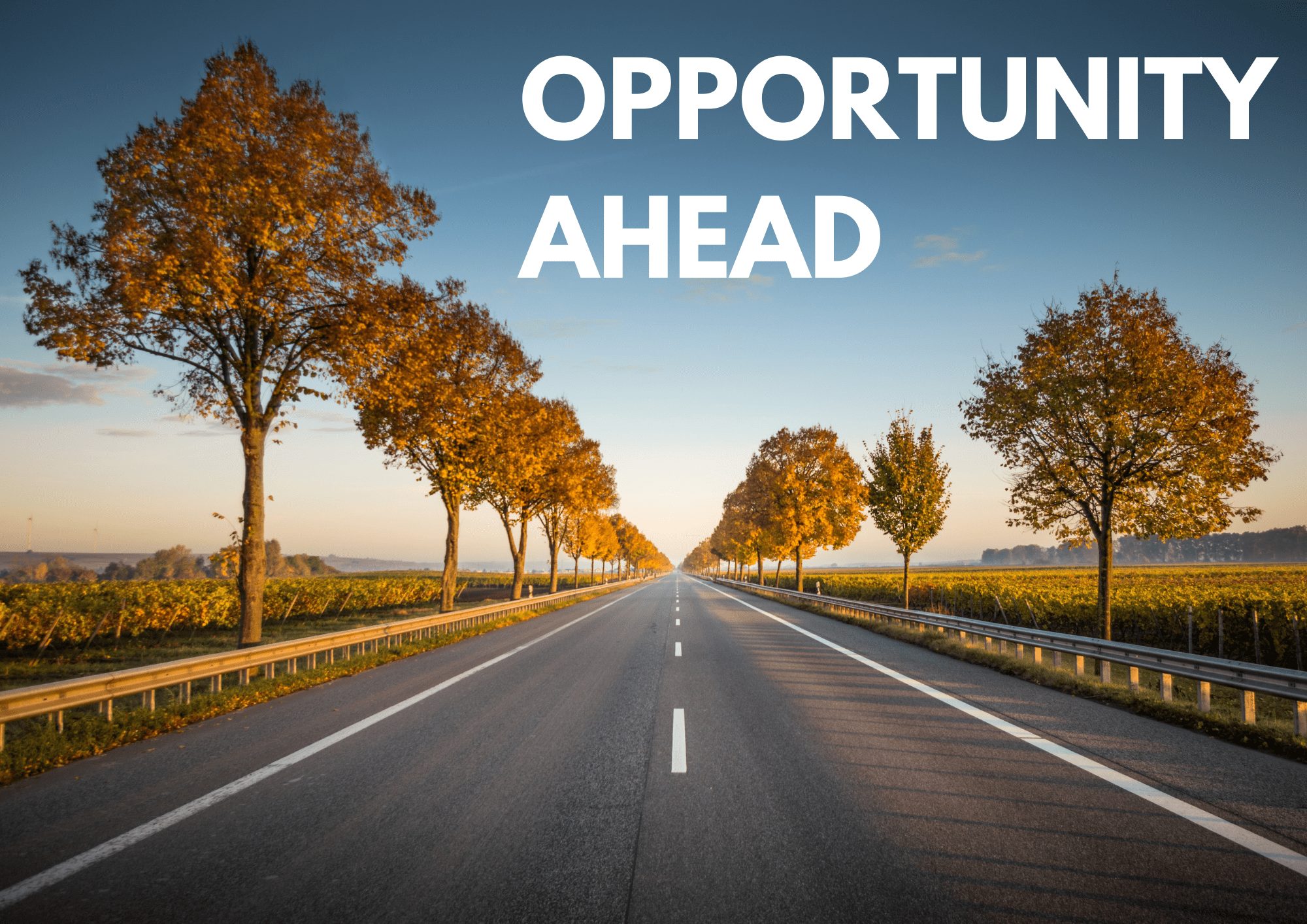 6 financial opportunities climate change could bring | SHIFT