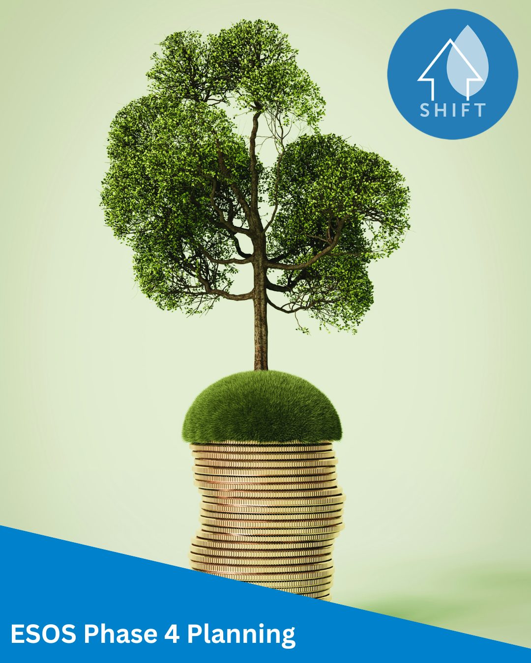 ESOS Phase 4 Planning 2026 Guide | Key Changes & Compliance Tips